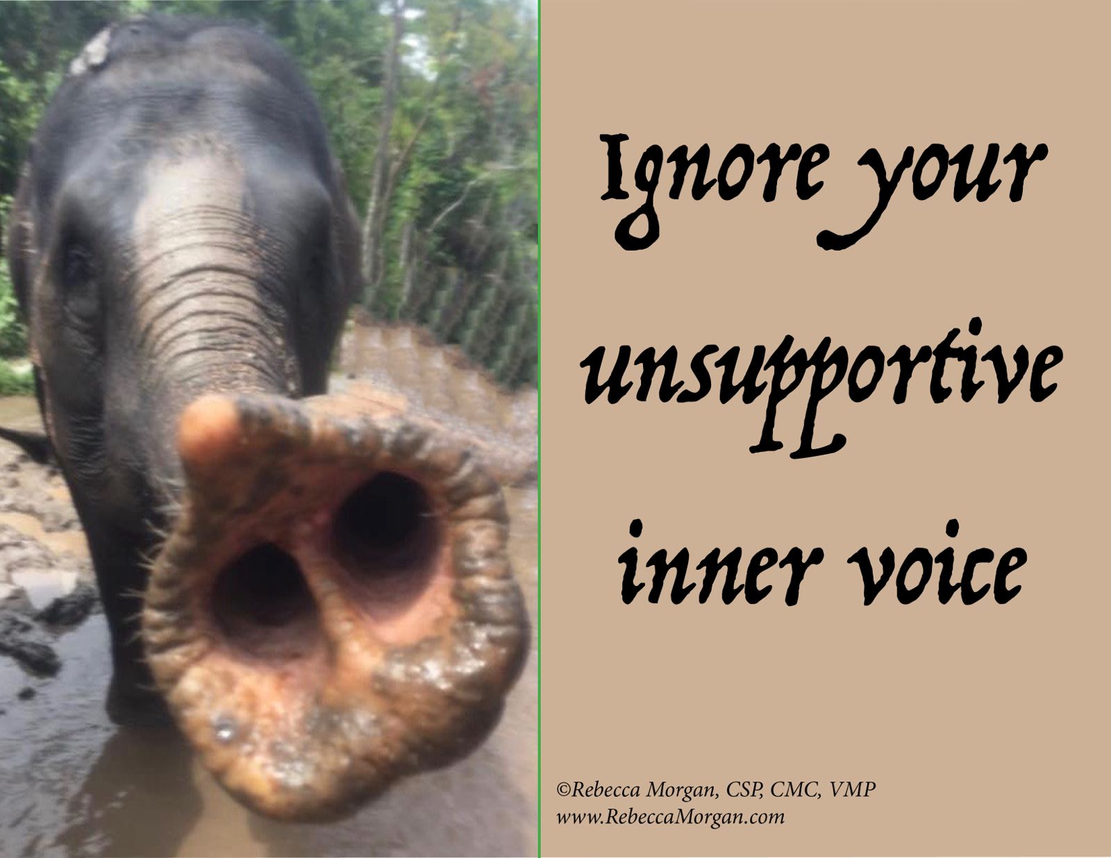 Ignore Your Unsupportive Inner Voice - Taking Virtual Presentations from Meh to Mesmerizing
